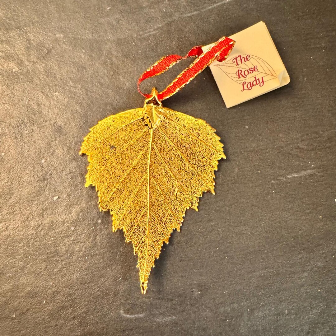 The Rose Lady Gold Birch Leaf Ornament Preserved Real Nature USA - Etsy