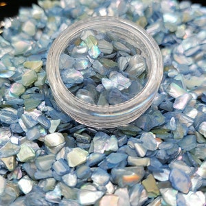 Steel Blue Freshwater Shell Flakes, Approximately 5g Container, Mosaics ...