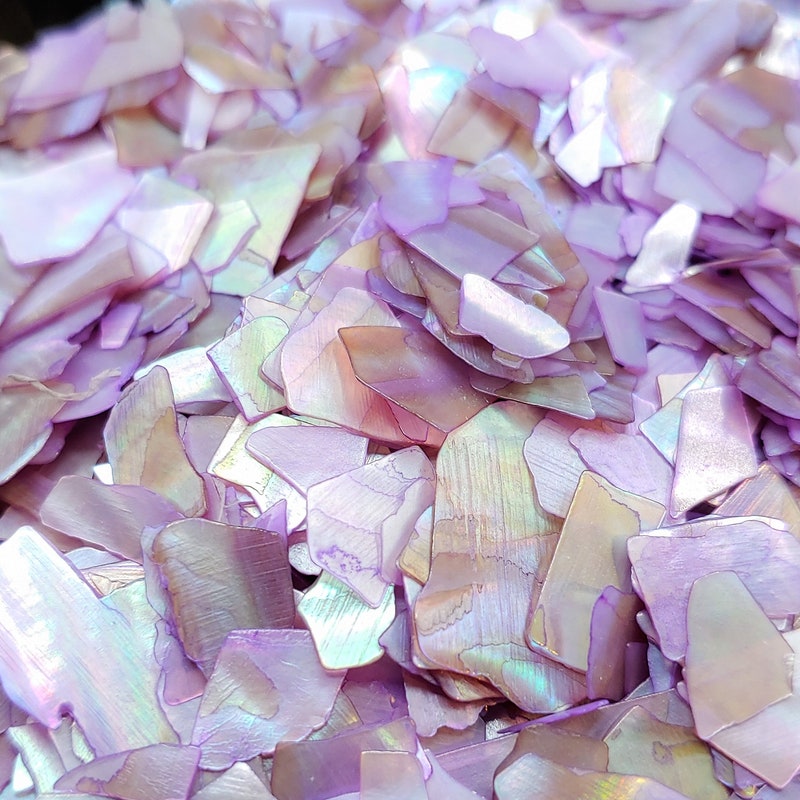 Abalone Shells for Resin Art - Etsy