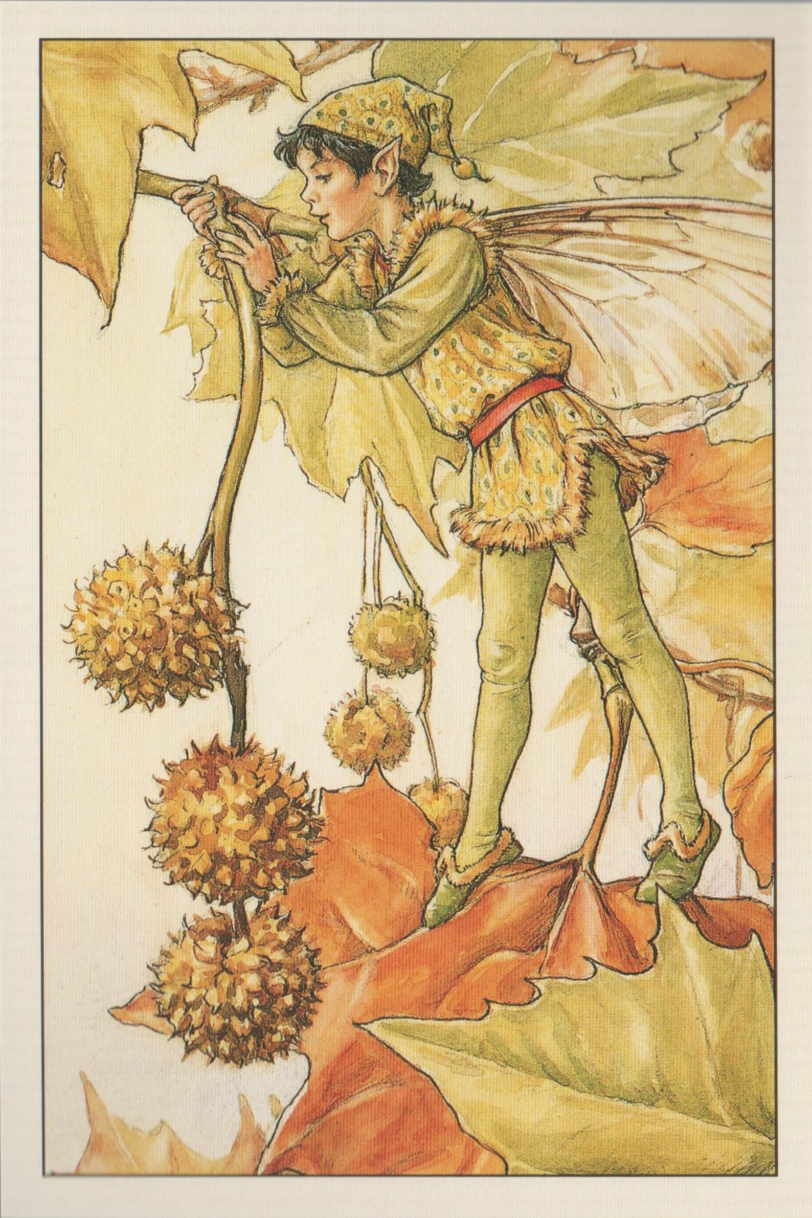 Flower Fairies Postcards Set of Ten Postal Item - Etsy