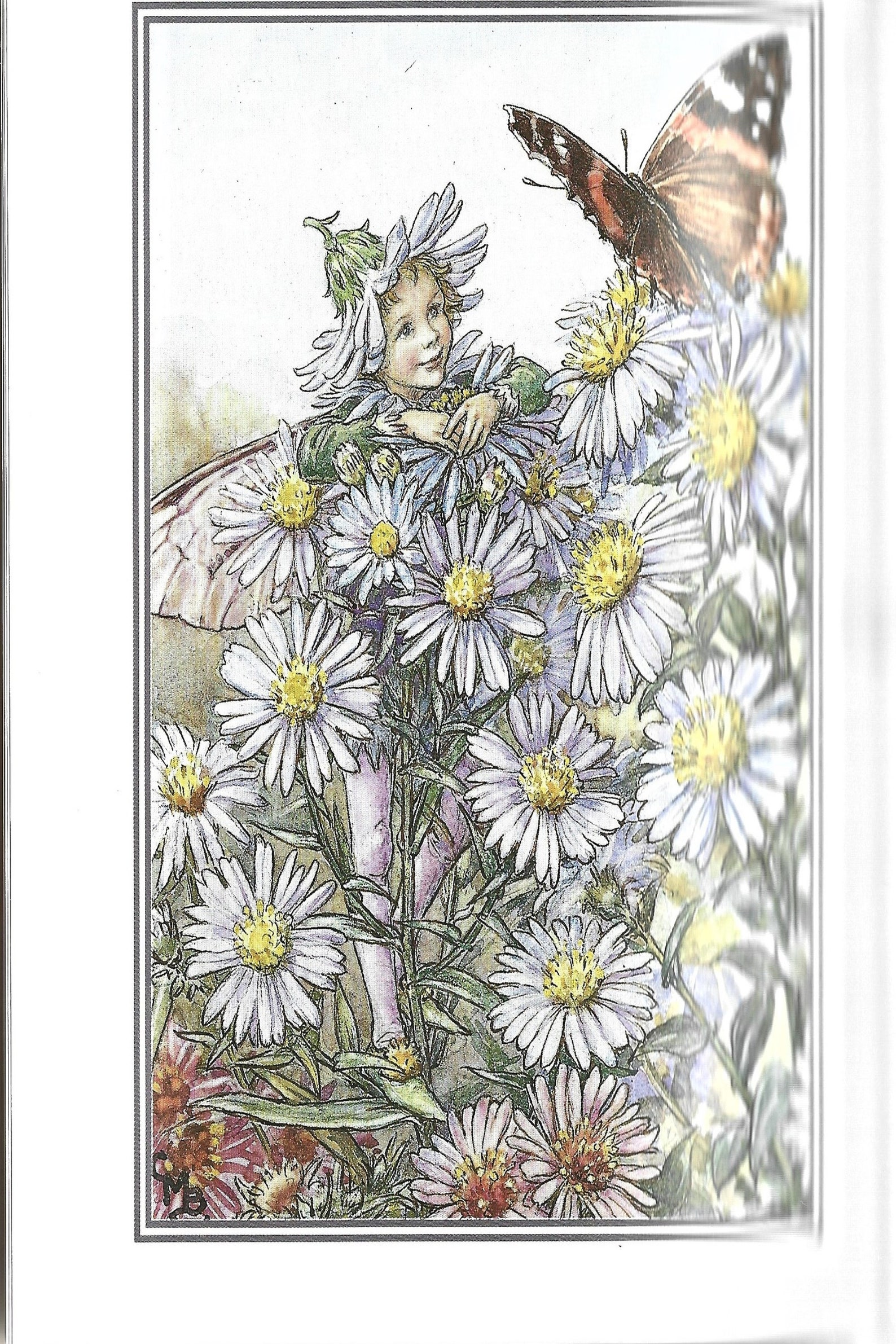 Vintage Flower Fairies of the Autumn, 1999 Hardback Book - Etsy