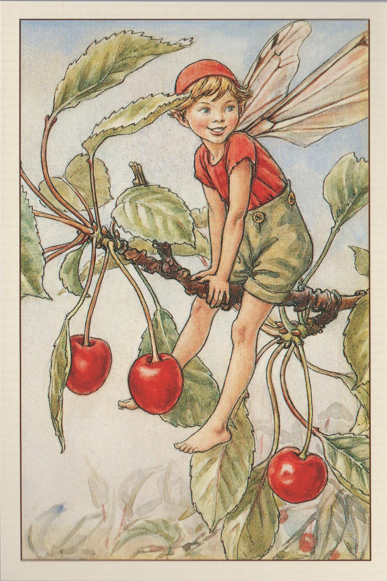 Flower Fairies Postcards Set of Ten Postal Item - Etsy