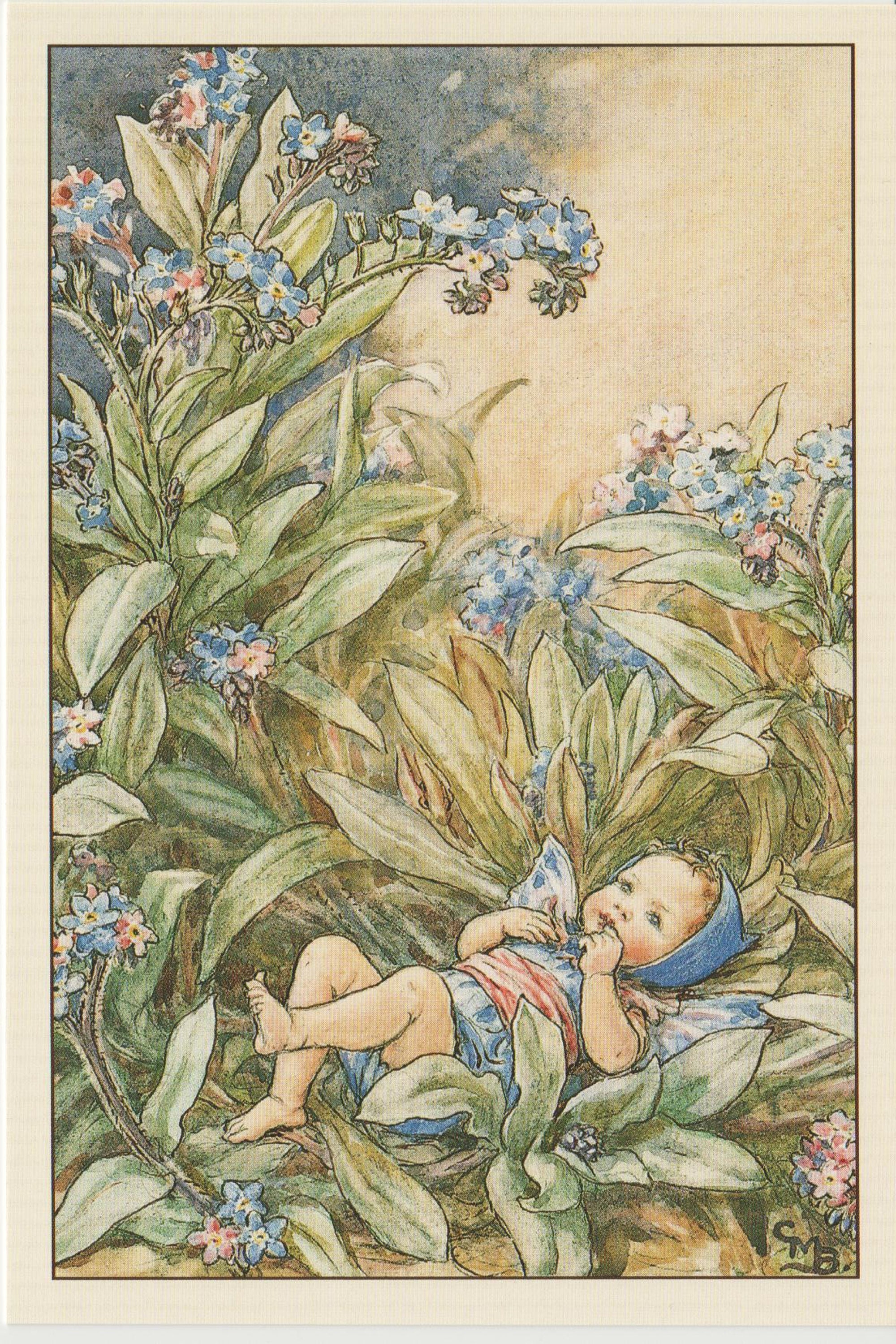 Flower Fairies Postcards, Set of Ten, Postal Item - Etsy