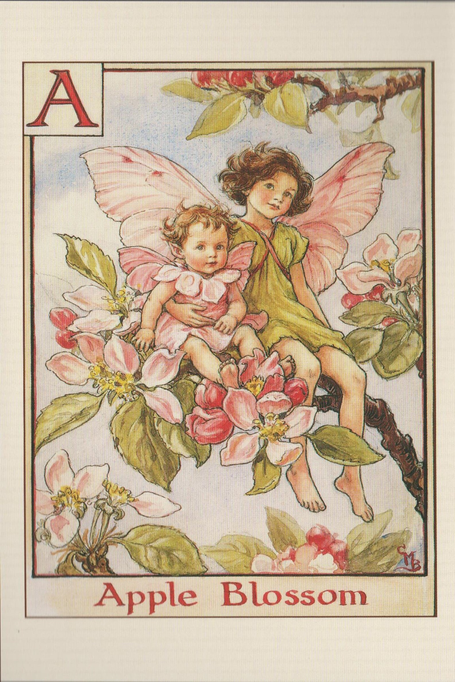 Flower Fairies Postcards Set of Ten Postal Item - Etsy
