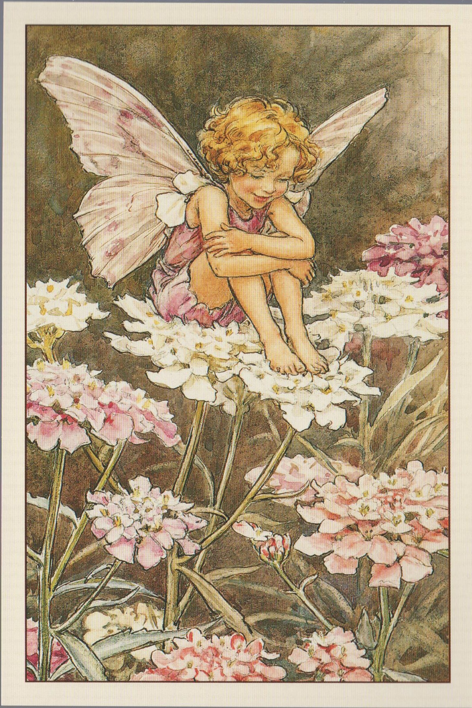 Flower Fairies Postcards, Set of Ten, Postal Item - Etsy