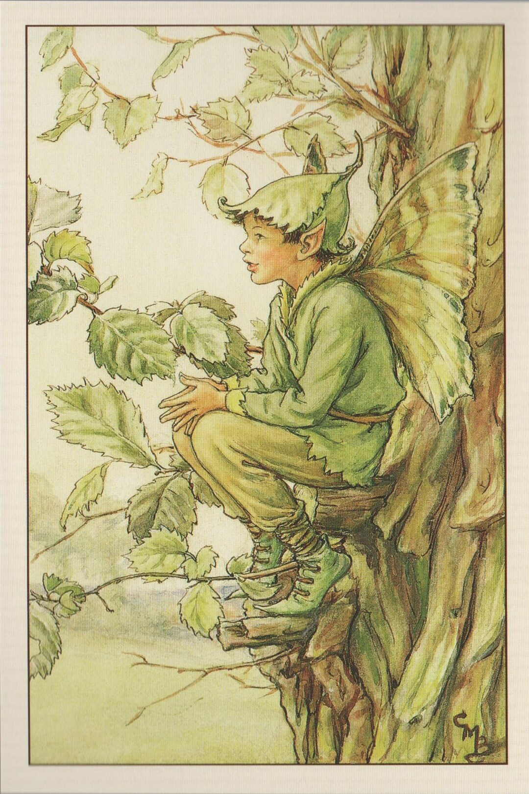 Flower Fairies Postcards, Set of Ten, Postal Item - Etsy