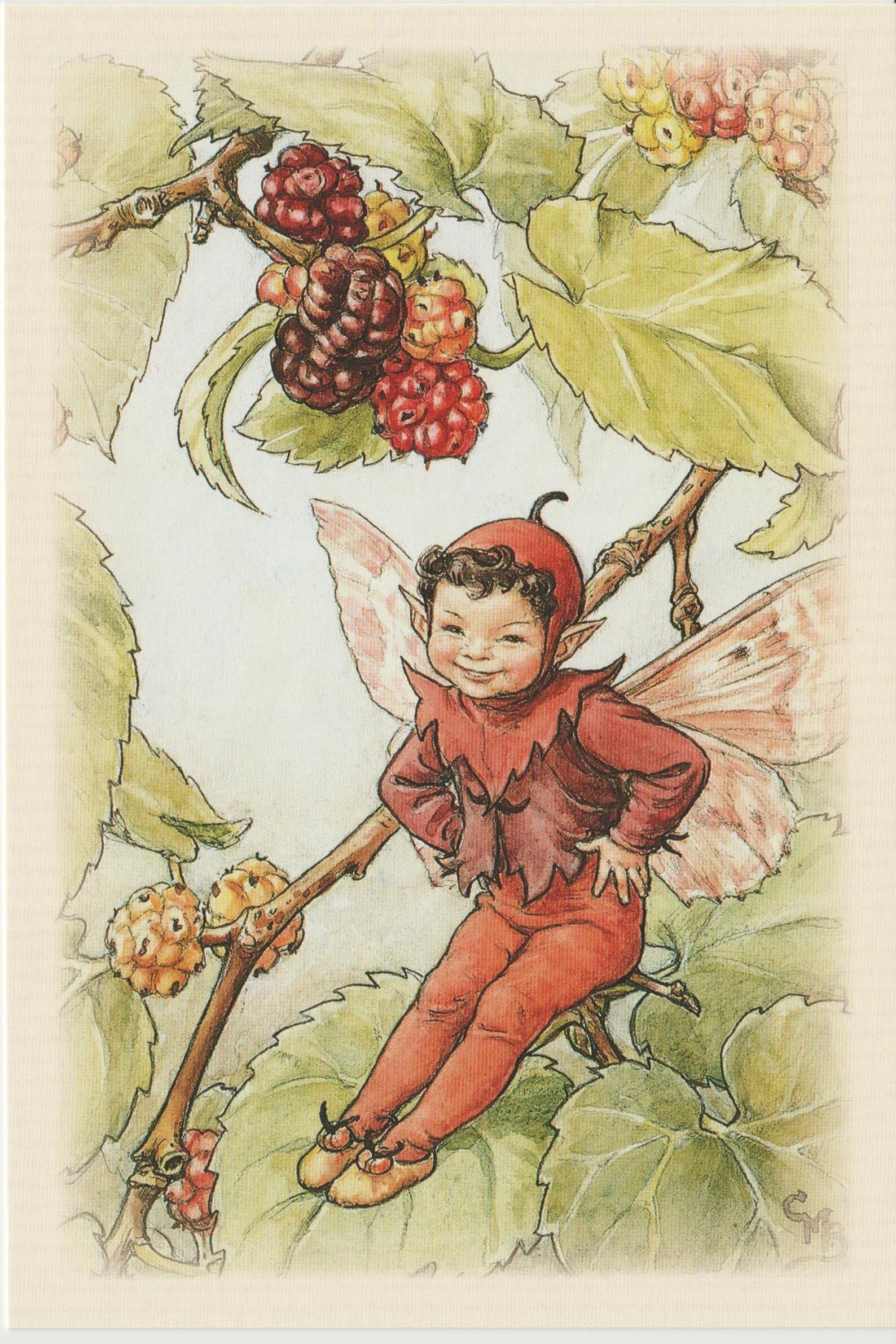Flower Fairies Postcards Set of Ten Postal Item - Etsy