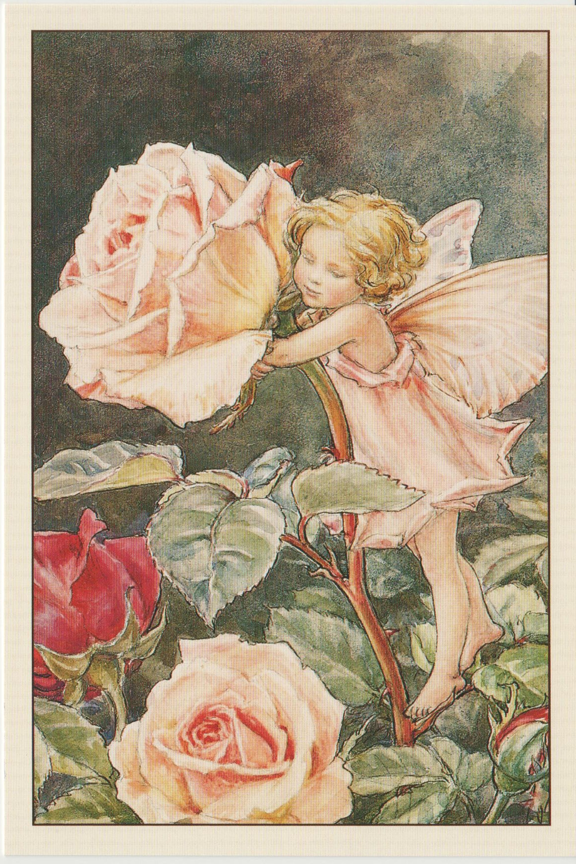 Flower Fairies Postcards, Set of Ten, Postal Item - Etsy