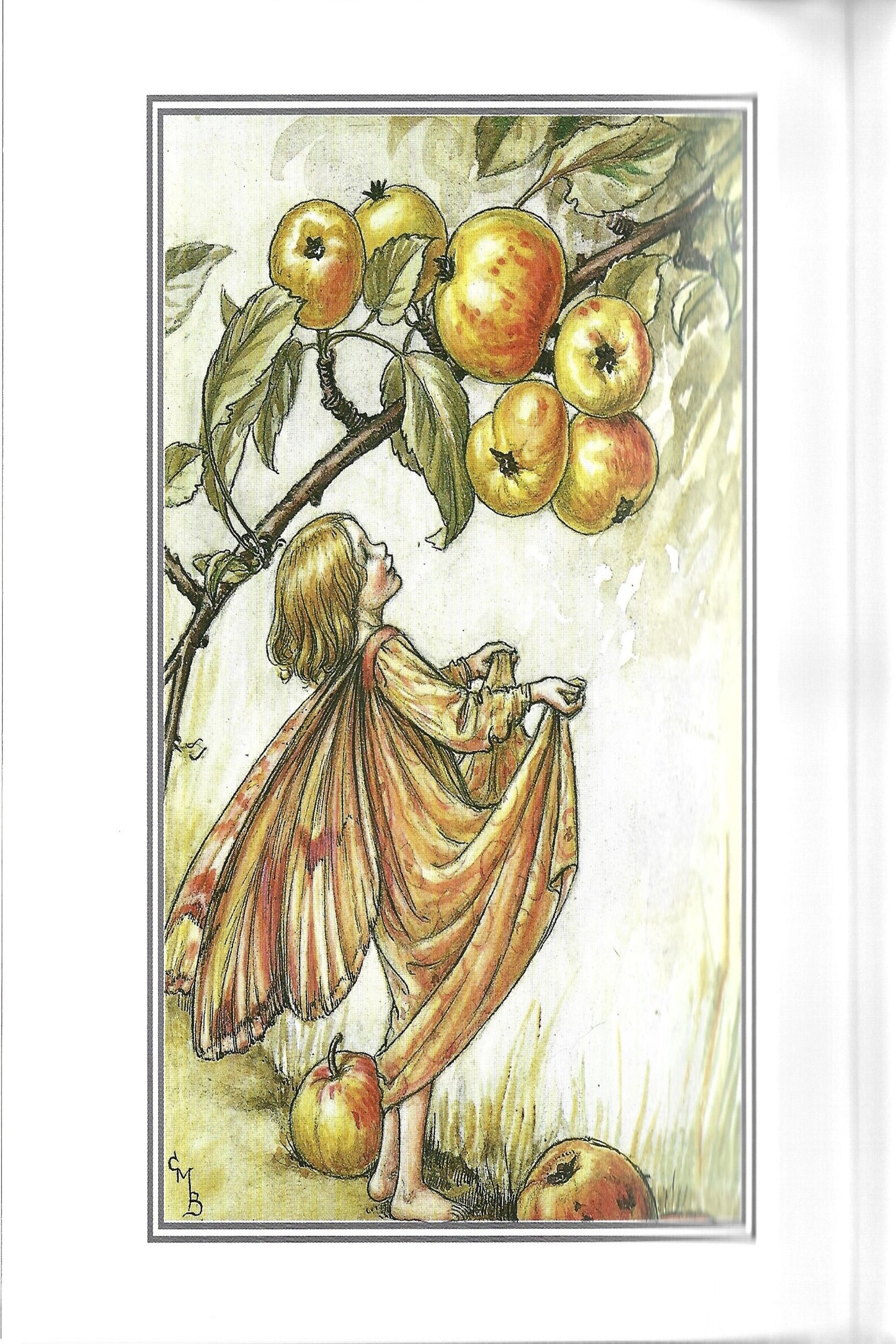 Vintage Flower Fairies of the Autumn, 1999 Hardback Book - Etsy