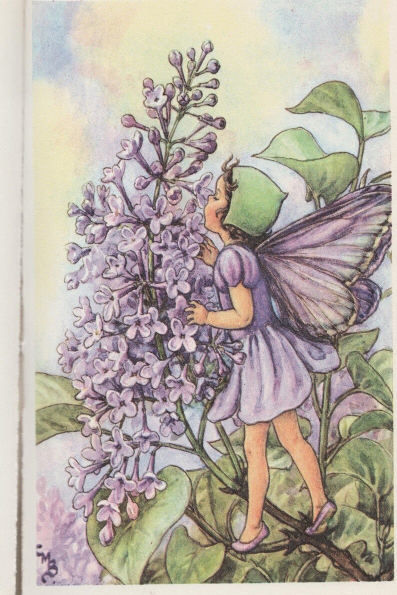 Vintage Flower Fairies of the Trees, 1974 Paperback Book, UK Postage ...