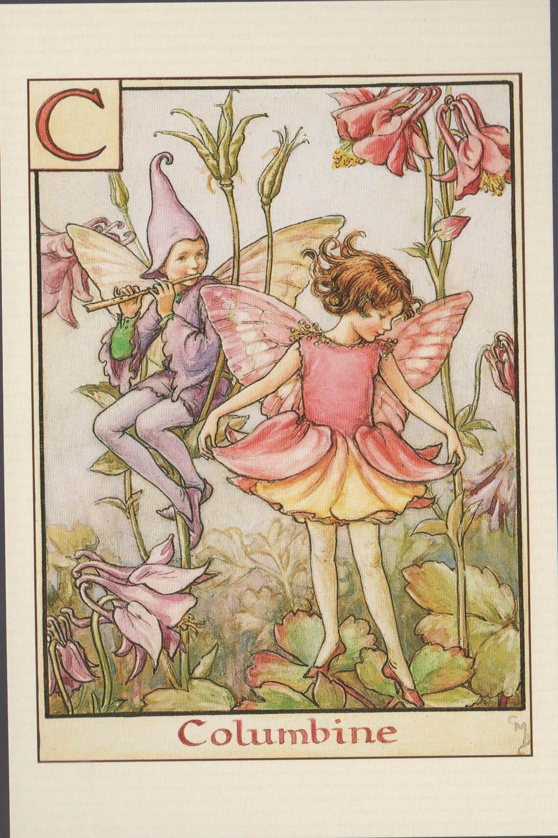Flower Fairies Postcards Set of Ten Postal Item - Etsy