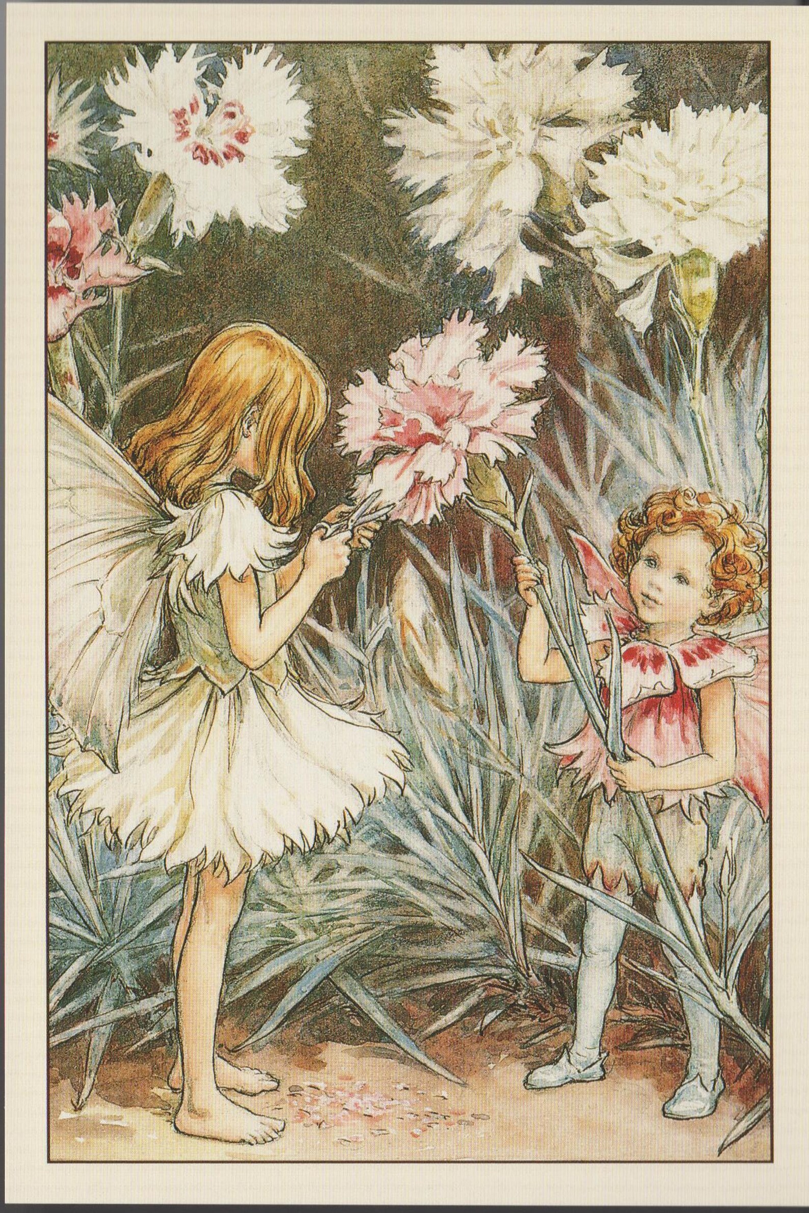 Flower Fairies Postcards, Set of Ten, Postal Item - Etsy