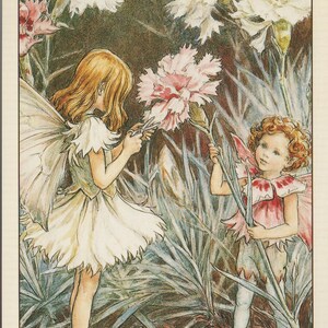 Flower Fairies Postcards, Set of Ten, Postal Item - Etsy