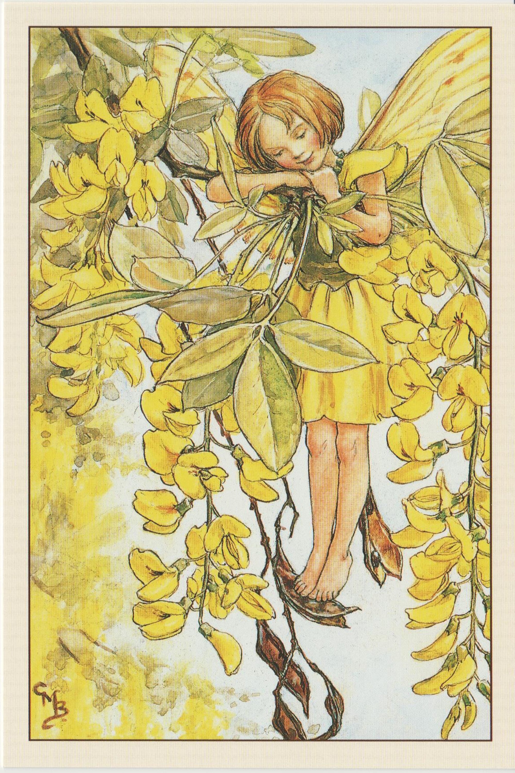 Flower Fairies Postcards, Set of Ten, Postal Item - Etsy