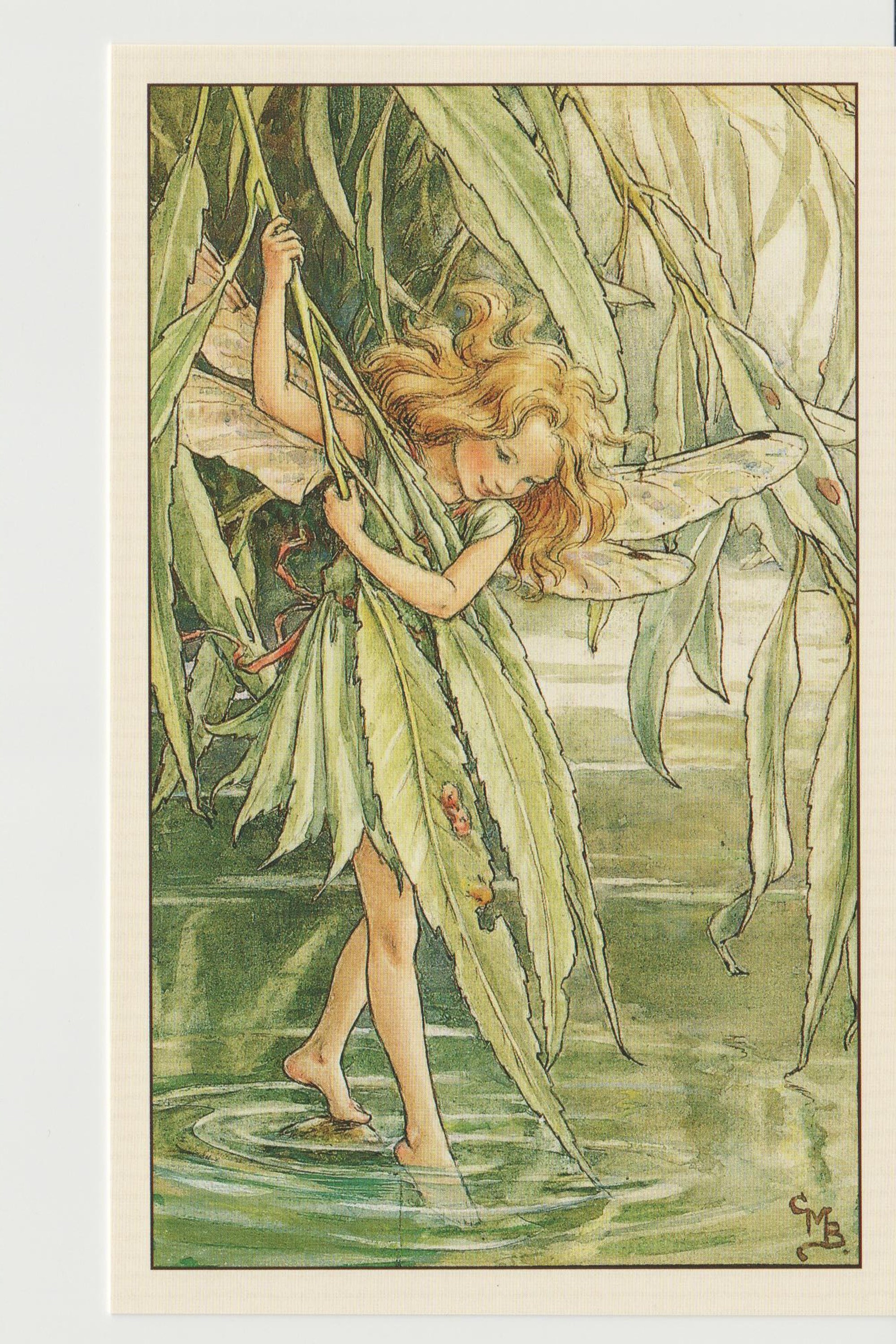 Flower Fairies Postcards, Set of Ten, Postal Item - Etsy