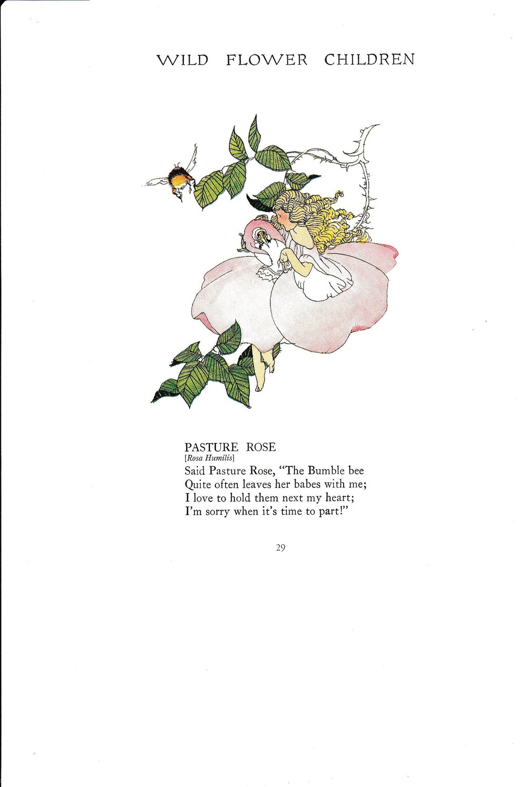 Wildflower Children Book Plates, Children's Rhyme, Reproduction Print ...