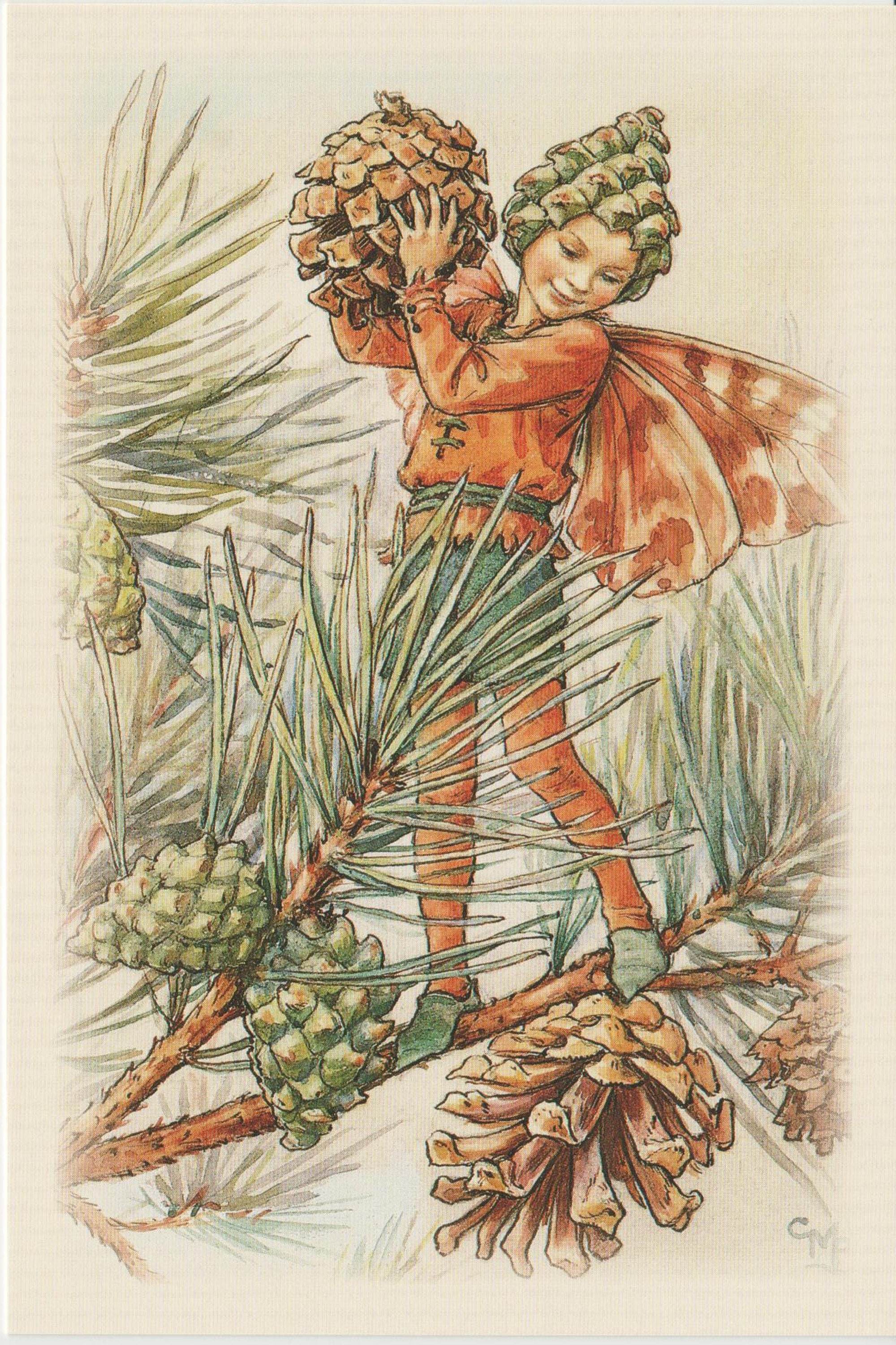 Flower Fairies Postcards Set of Ten Postal Item - Etsy