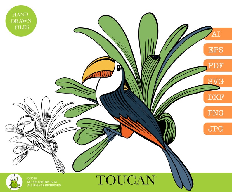 Toucan SVG Vector Toucan Layered SVG Toucan Clipart Toucan Etsy France