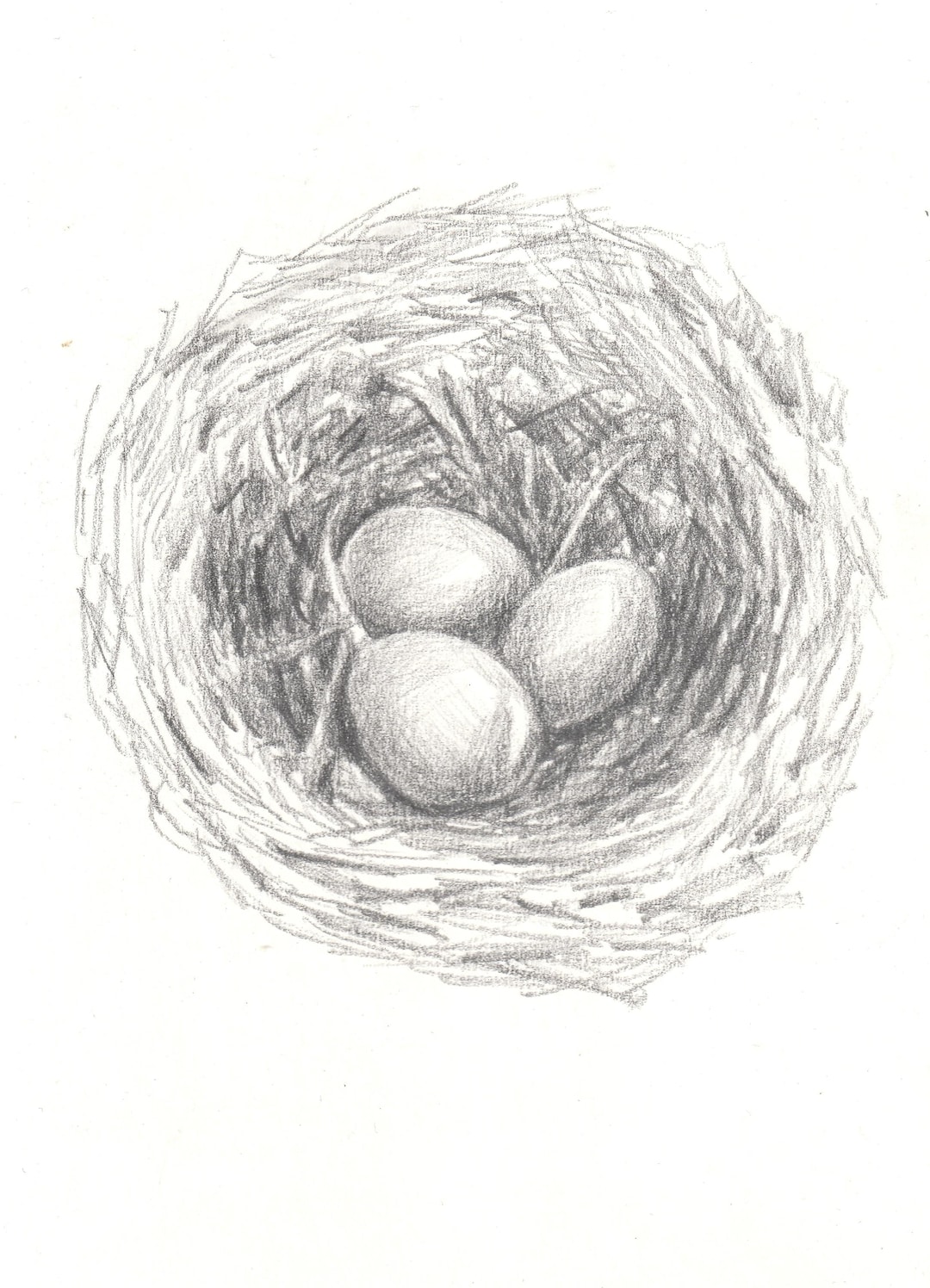 Hand Drawn Bird Nest Line Drawing, Minimalist Woodland Cottagecore Art ...