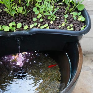 Aquasprouts Universal Pond Garden: Aquaponic Grow Bed Kit - Etsy