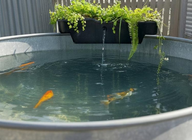 Aquasprouts Universal Pond Garden: Aquaponic Grow Bed Kit - Etsy