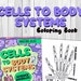 Cells to Body Systems Coloring Book - Etsy