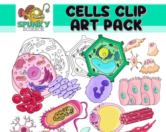 Cell Biology Clip Art, Cell Organelles Digital Stamps, Animal Cell ...