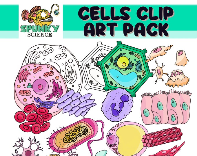 Cute Body Cells Clip Art Digital Download, Biology Clip Art , Kawaii ...