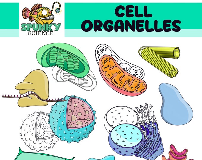 Cute Body Cells Clip Art Digital Download, Biology Clip Art , Kawaii ...
