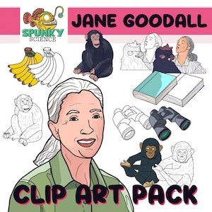 Jane Goodall Commercial Clip Art- Women’s History - Etsy