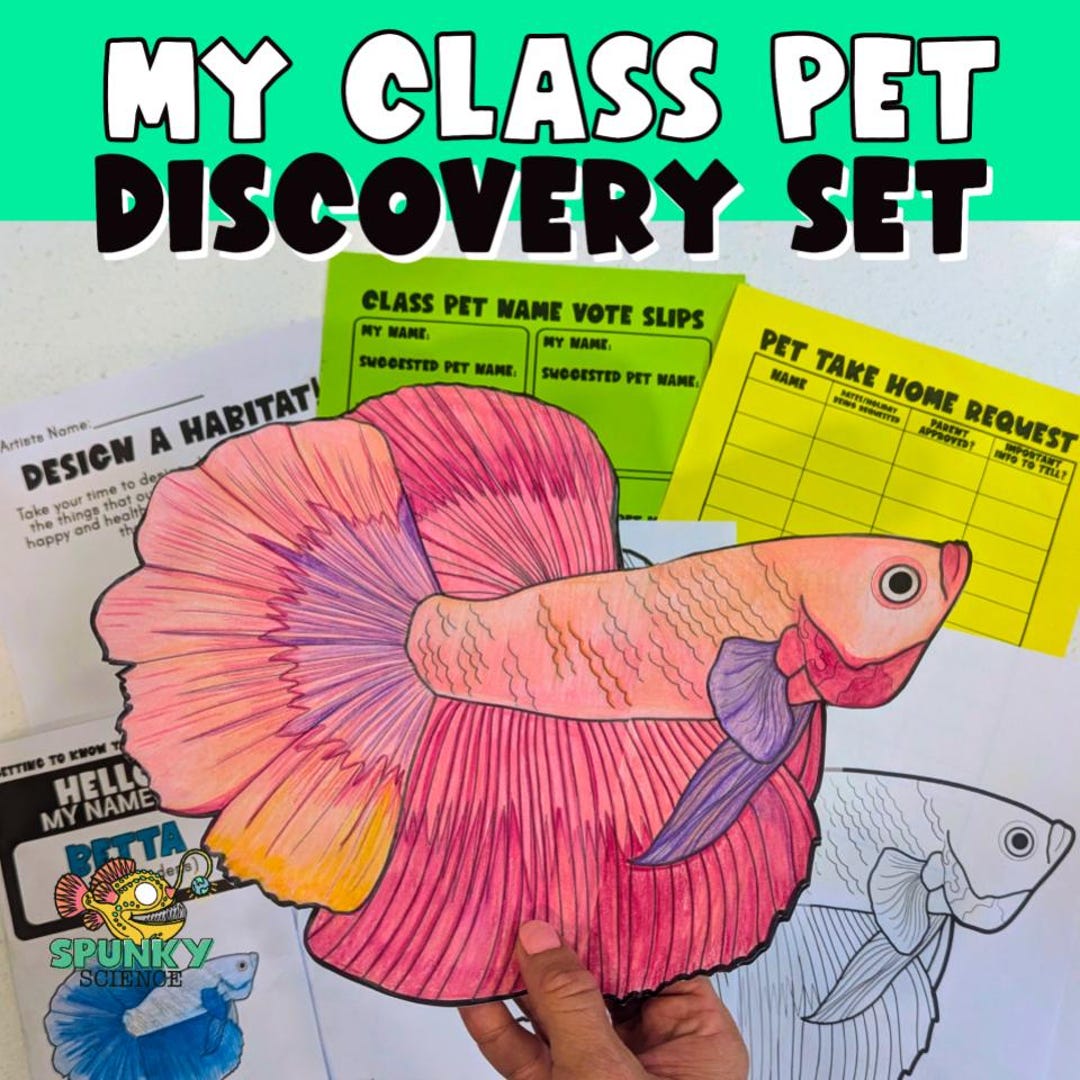Betta Fish Class Pet Activity – Reading, Research, Writing, Drawing ...