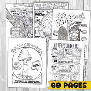 Life Science Educational Coloring Book - Etsy