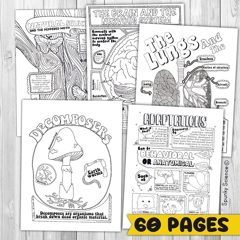 Life Science Educational Coloring Book - Etsy