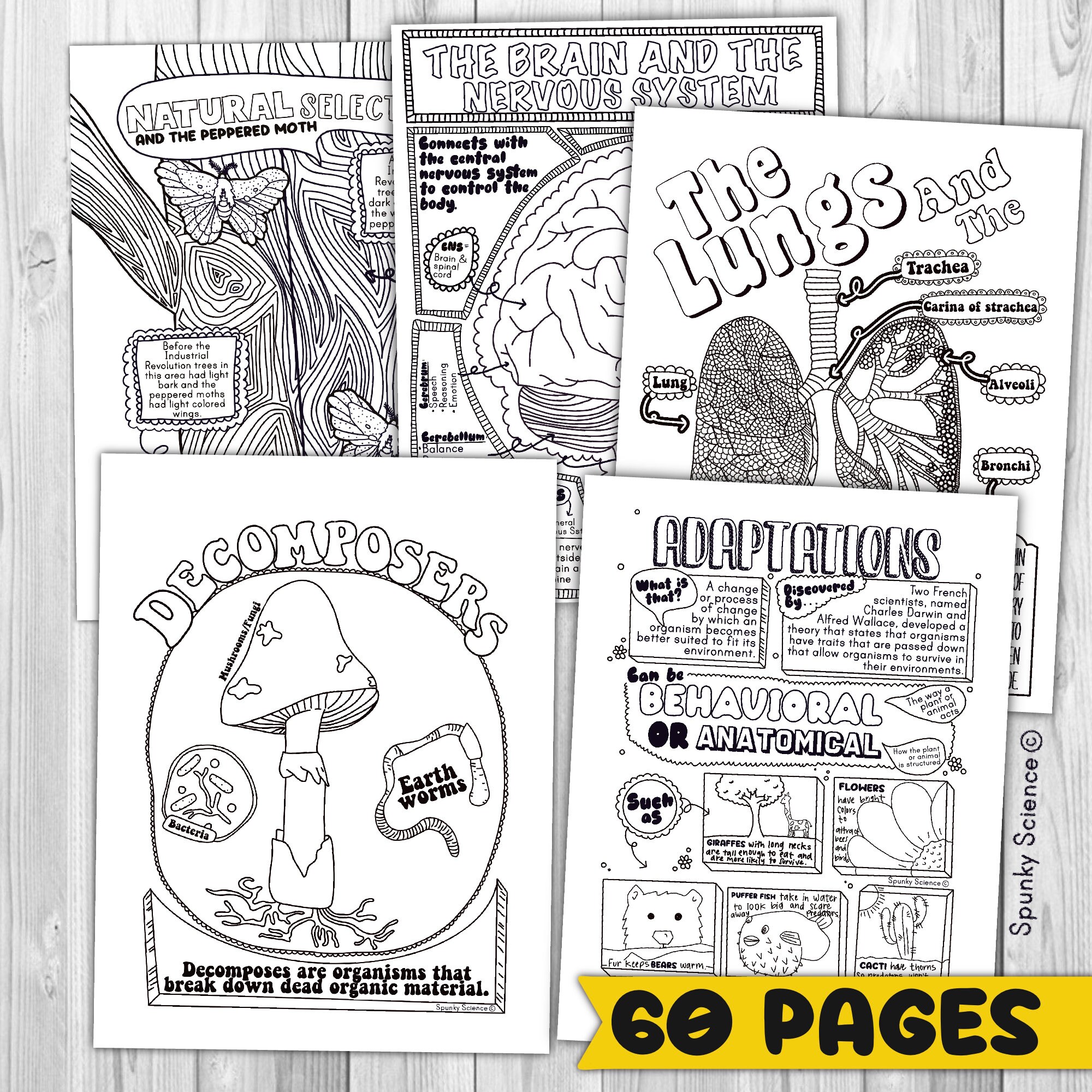 Life Science Educational Coloring Book - Etsy