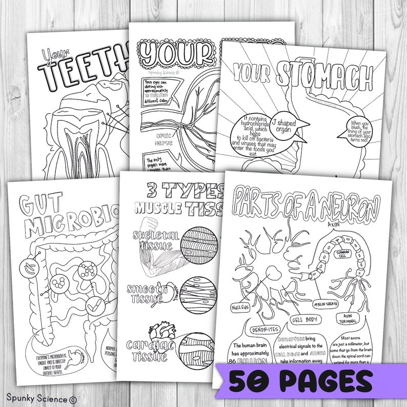 Cells to Body Systems Coloring Book - Etsy