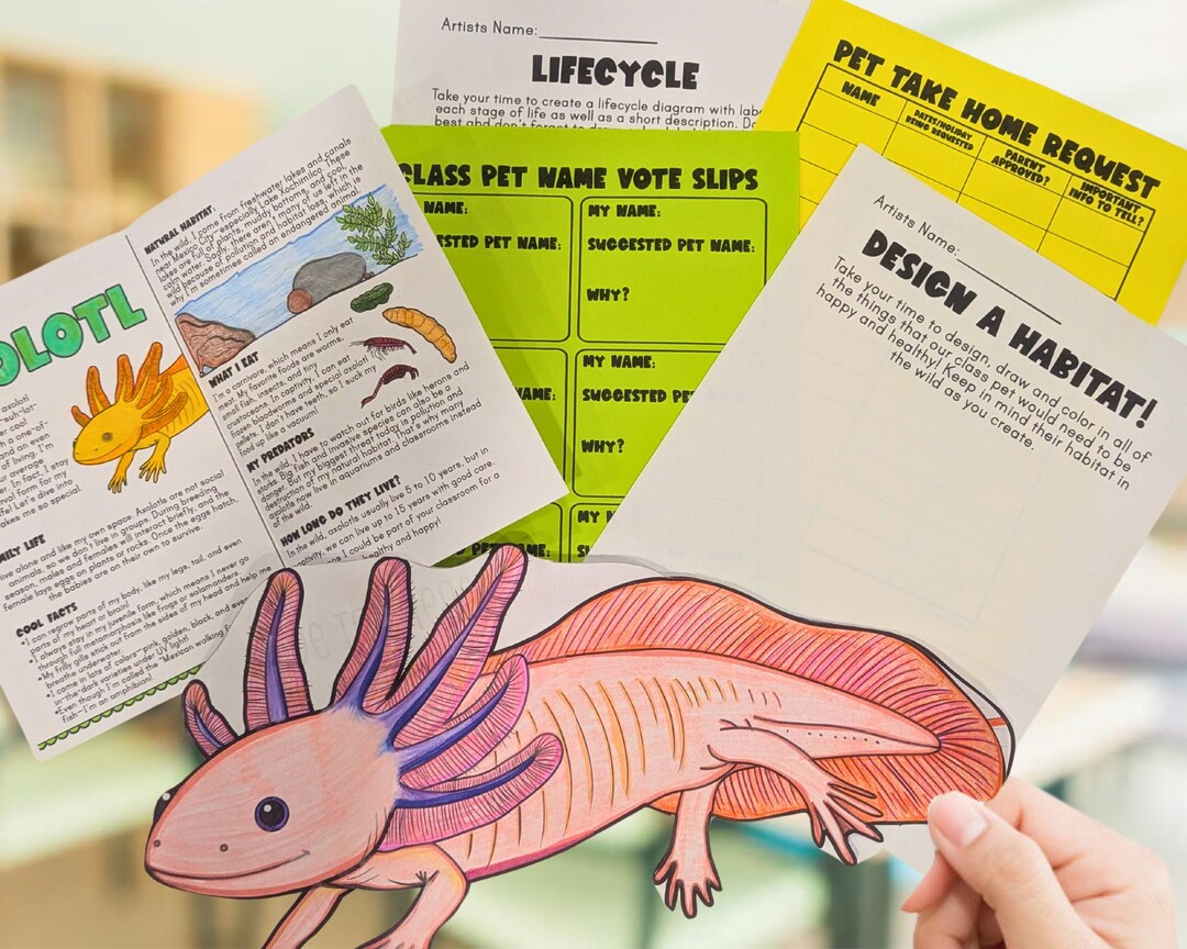 Axolotl Class Pet Activity – STEM, Reading, Research, Writing & Drawing ...