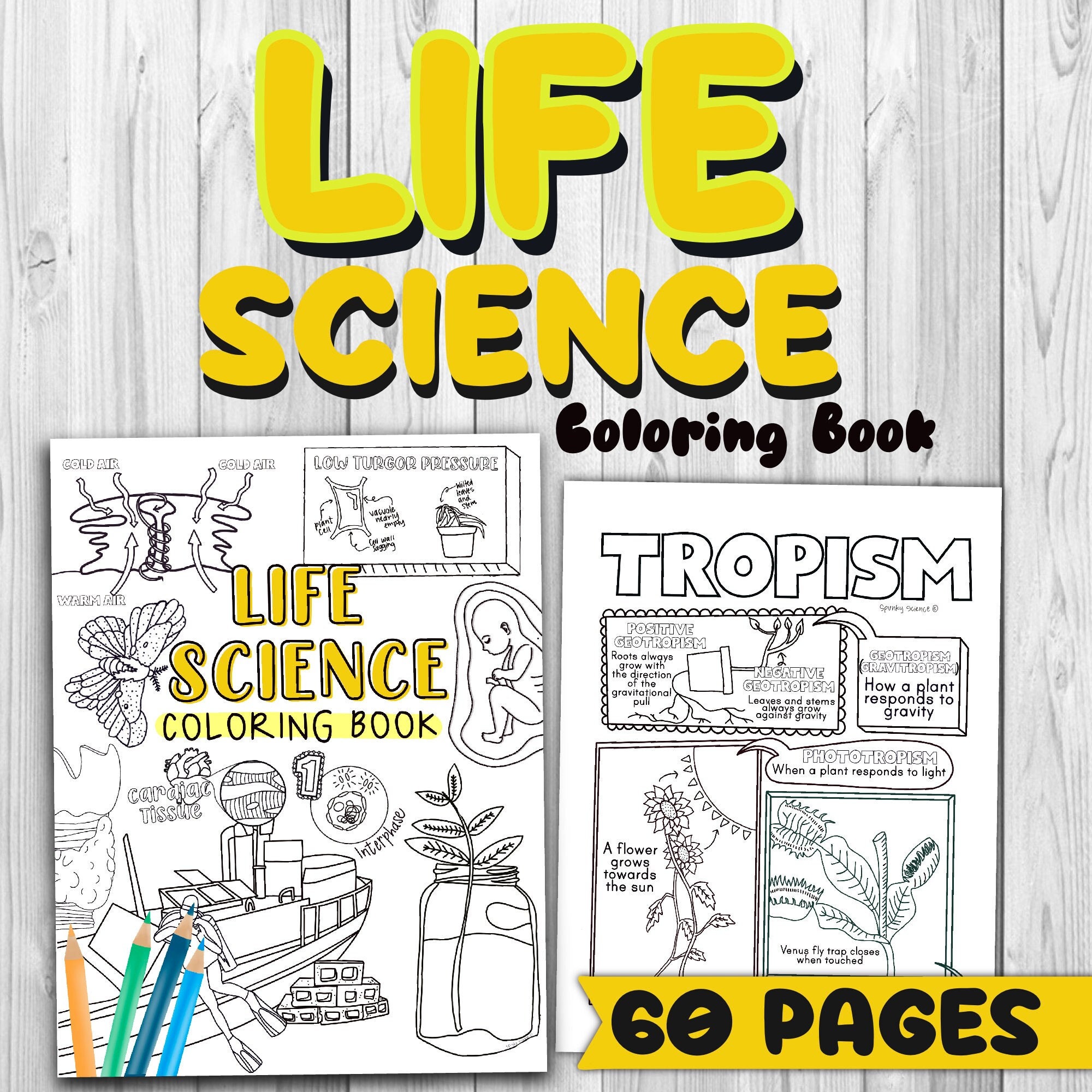 Life Science Educational Coloring Book - Etsy