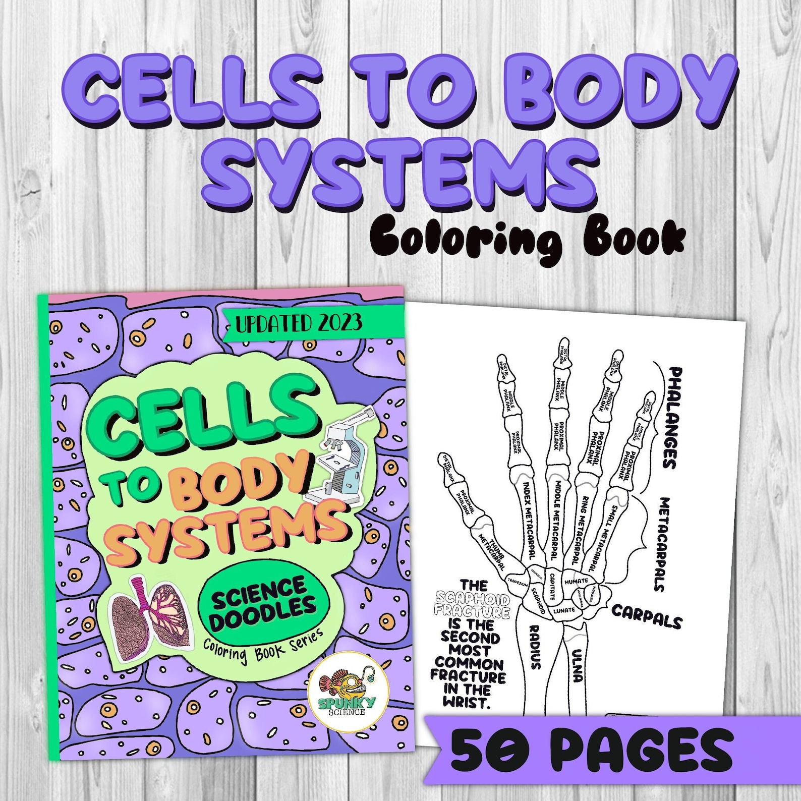 Cells to Body Systems Coloring Book - Etsy
