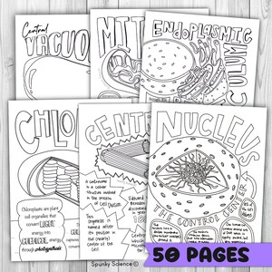 Cells to Body Systems Coloring Book - Etsy