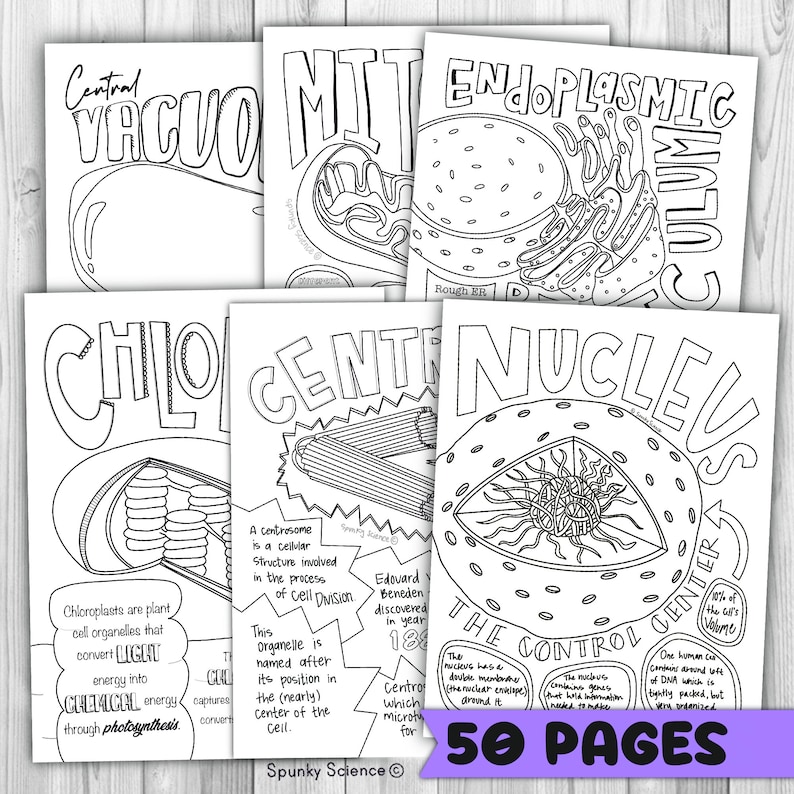 Cells to Body Systems Coloring Book - Etsy