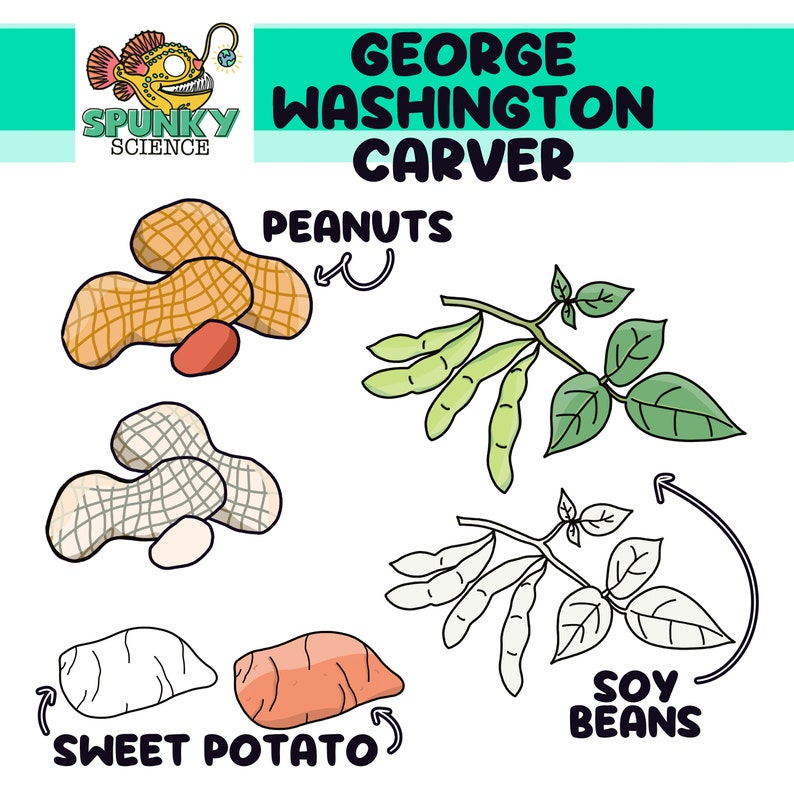 George Washington Carver Commercial Clip Art Set- Black History ...