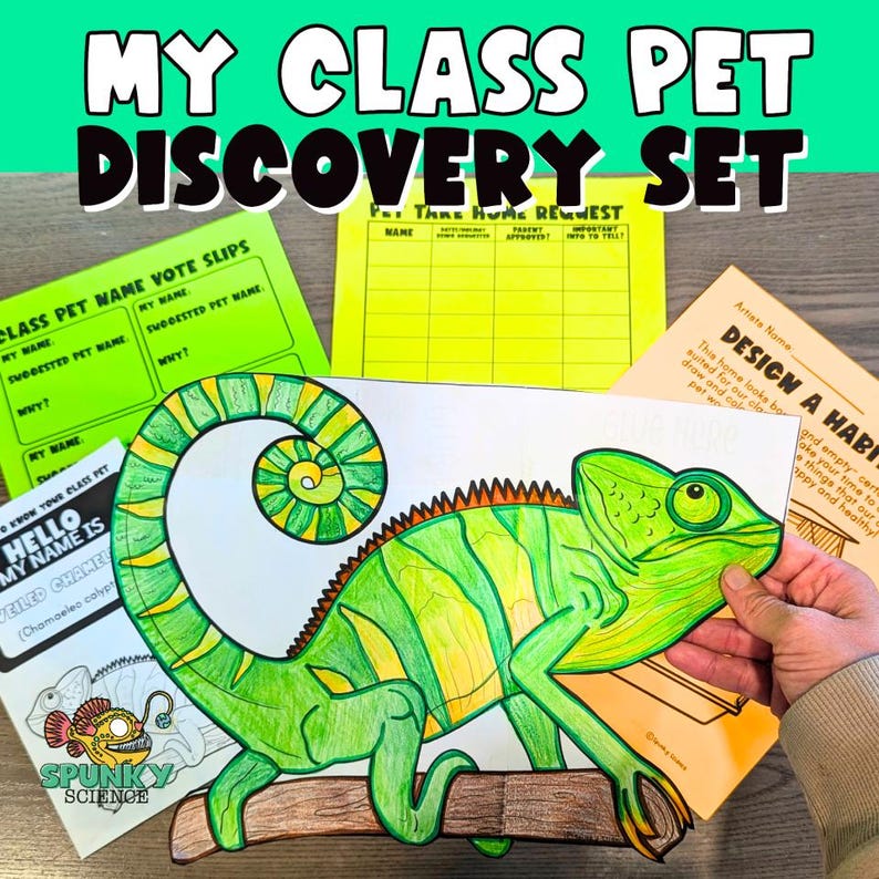 Meet the Class Pet Chameleon- A STEM Introduction - Etsy