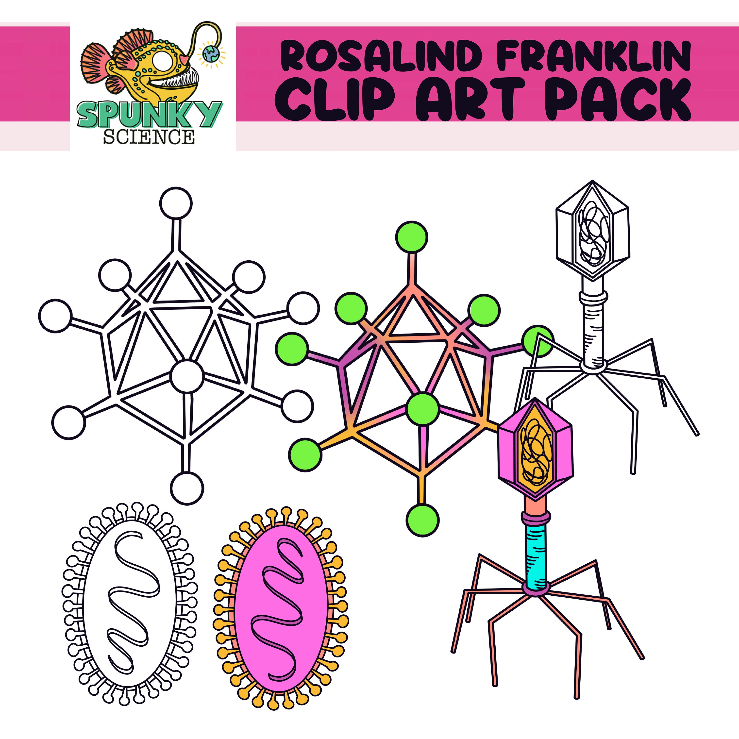 Rosalind Franklin Clip Art- Women’s History STEM Collection - Etsy