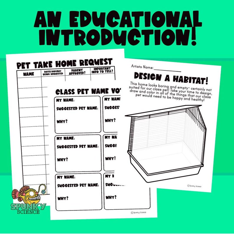 Meet the Class Pet Chameleon- A STEM Introduction - Etsy
