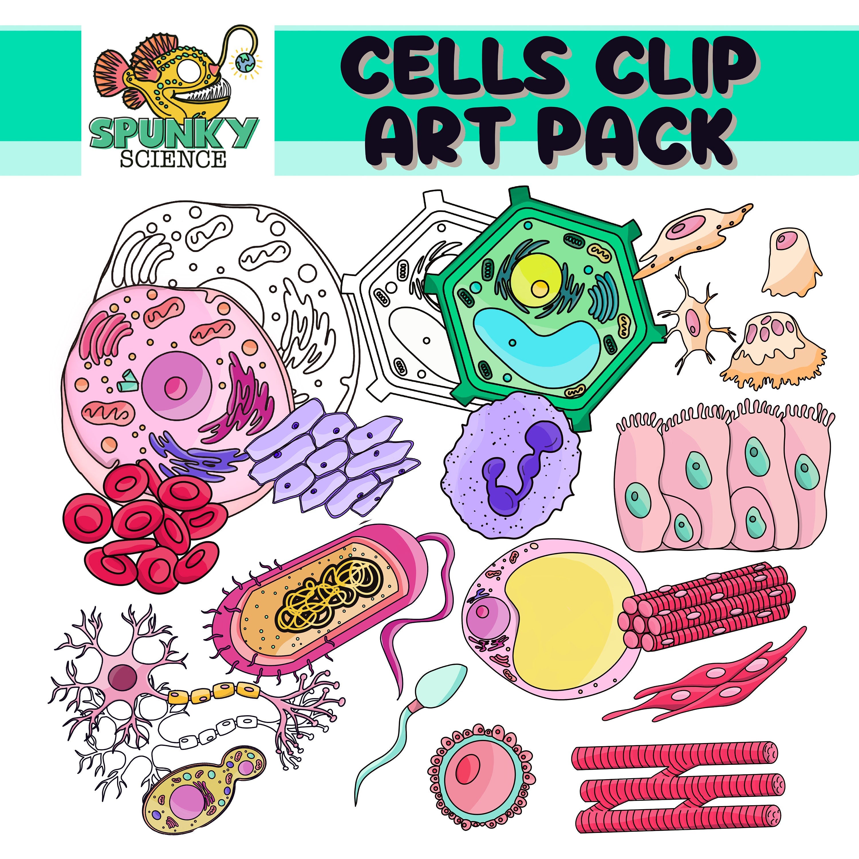 Cell Clip Art Animal, Bacteria, Plant Cell Collection of 36 - Etsy
