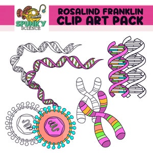Rosalind Franklin Clip Art- Women’s History STEM Collection - Etsy