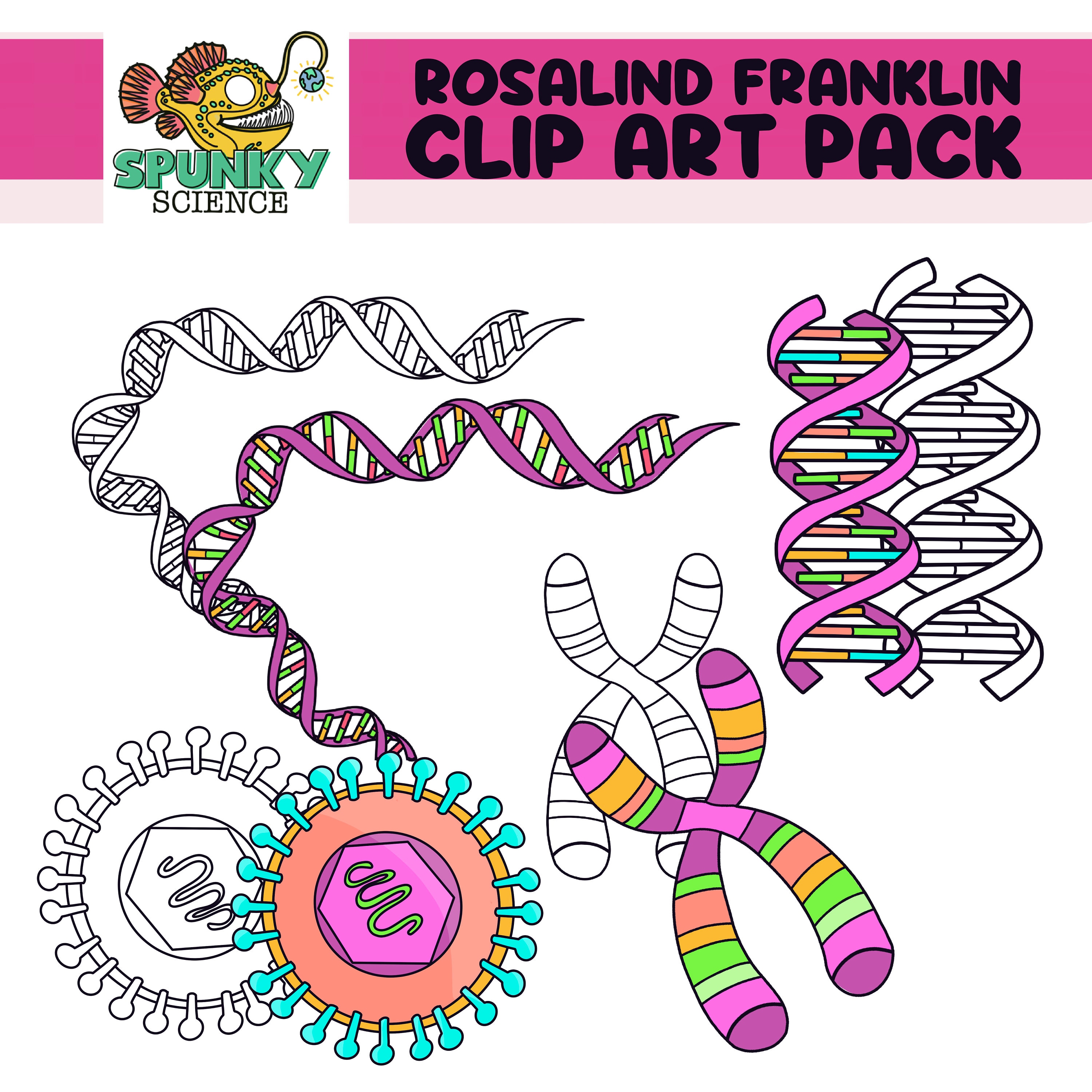 Rosalind Franklin Clip Art- Women’s History STEM Collection - Etsy