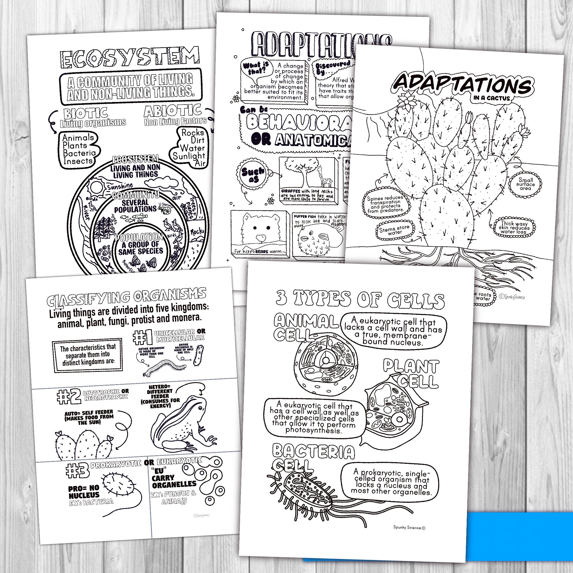 6th Grade TEKS Coloring Book - Etsy