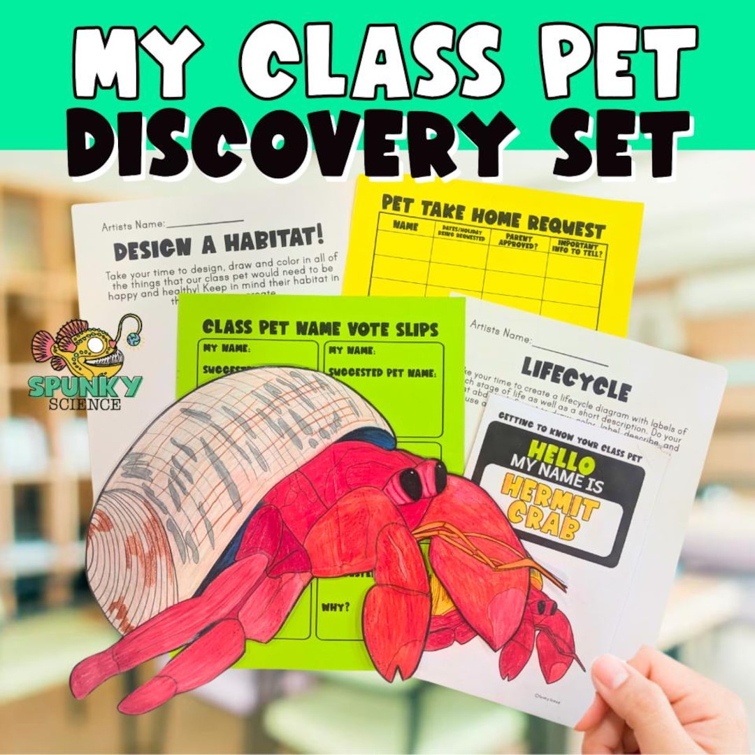 Hermit Crab Class Pet Activity – Reading, Writing, Research & Drawing ...