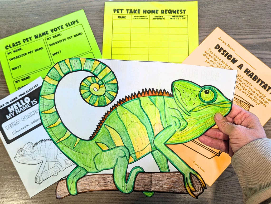 Meet the Class Pet Chameleon- A STEM Introduction - Etsy